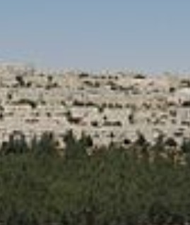 Ramat Shlomo | RE/MAX Jerusalem
